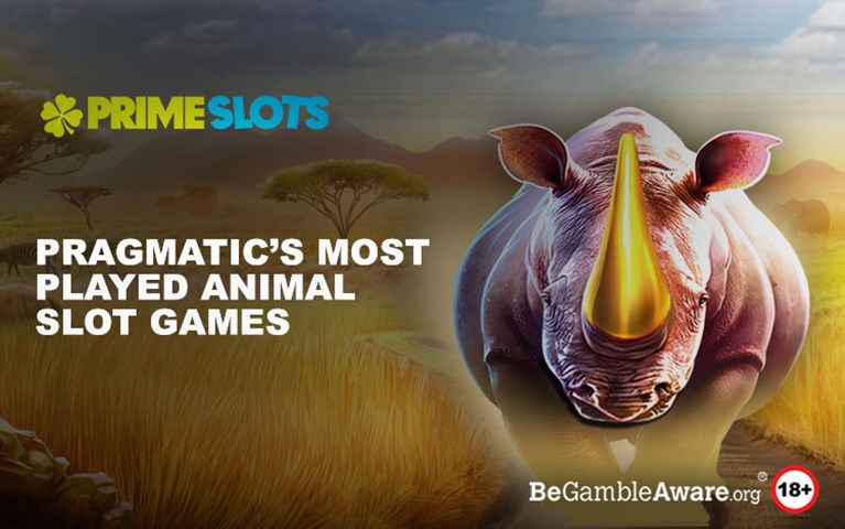 About Slots | Prime Slots Blog