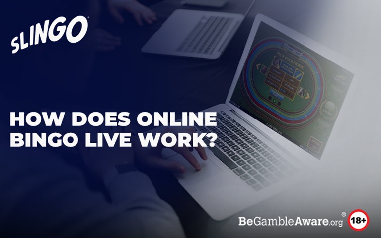 Everything You Need To Know About Online Bingo | Slingo Blog