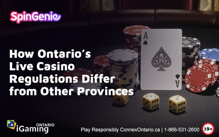 Spin Genie Blog - Latest Updates and Insights in Ontario