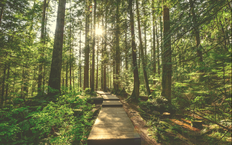 Most Expensive Homes in Brampton, Canada